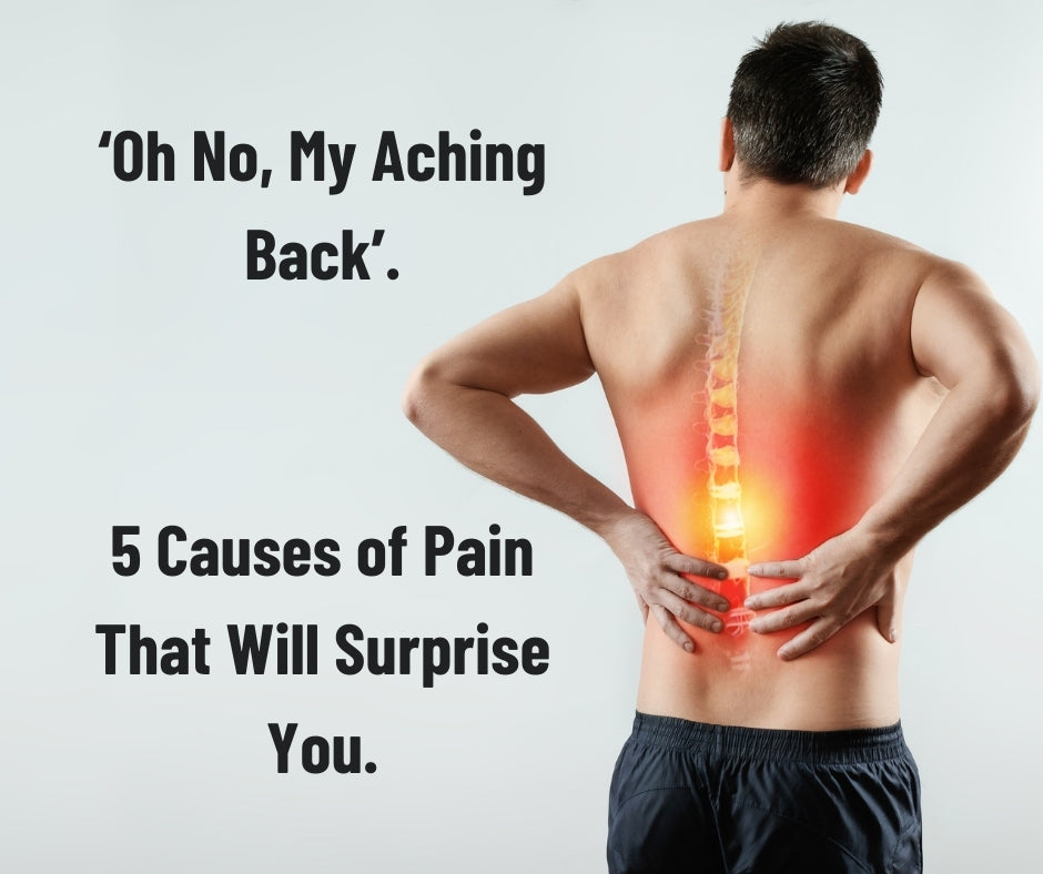 5 Causes of Back Pain That Will Surprise You – Levitate Exercise Physiology